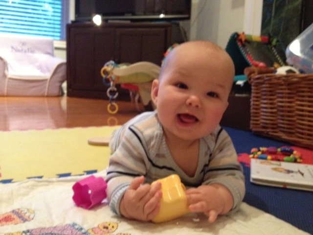 Happy 7 Months (and 5 Days), Elliott! | LinvilleUSA.com